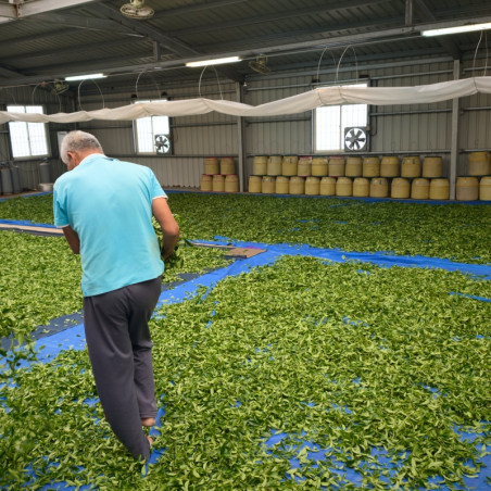 2026 Spring Qingxin Oolong Long Feng Xia weight 25 gr